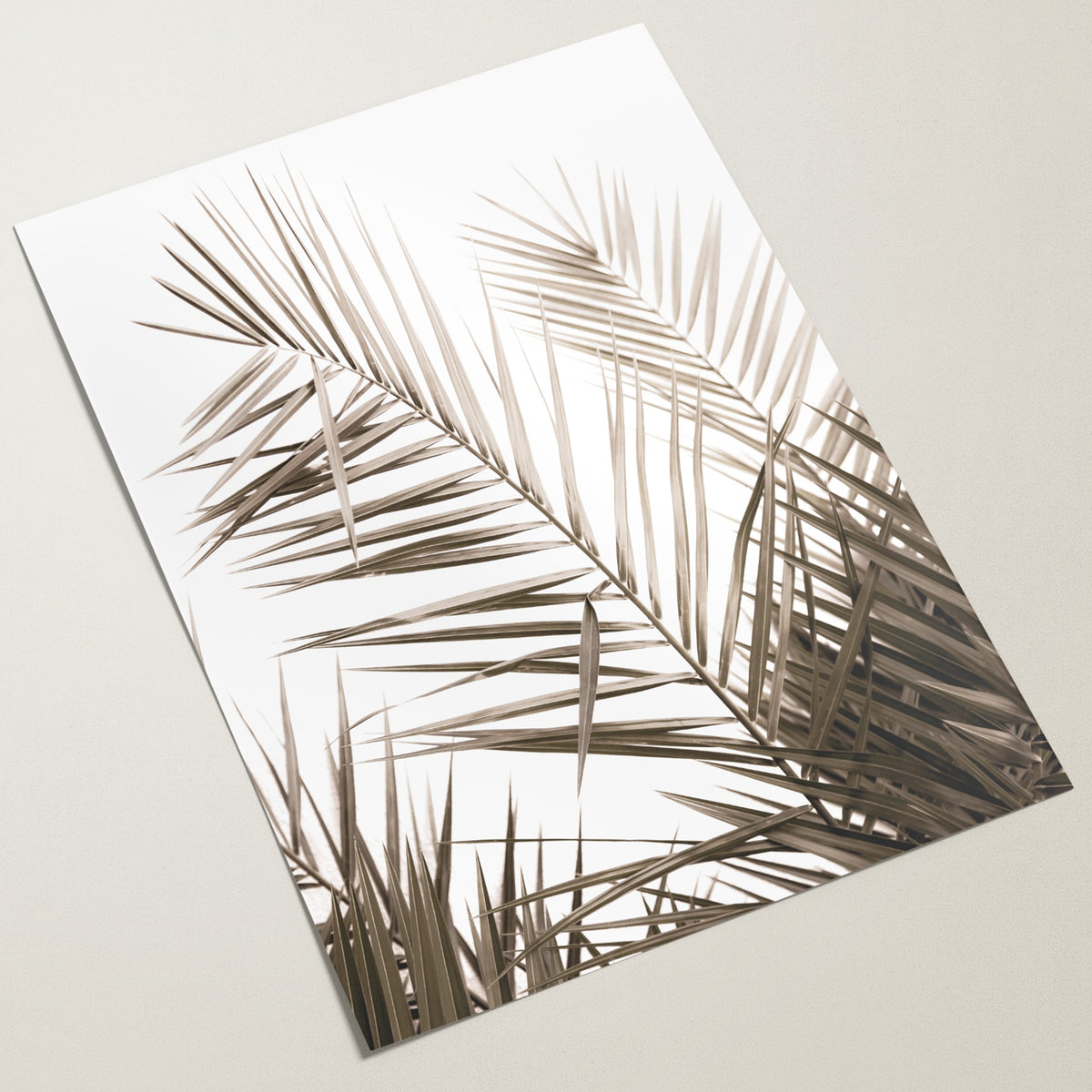 Neutral Palm Leaves Poster | Boho Botanical Photography Wall Art – Slay ...