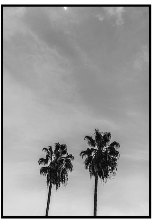 Botanical Wall Art & Nature Prints for Modern Homes | Slay My Print