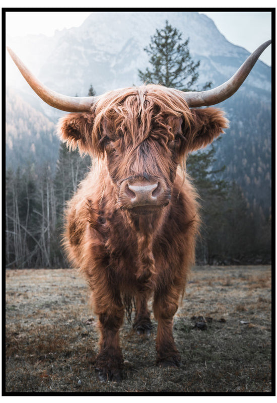 Highland Cattle Poster │Cow Wall Art For Your Home | Slay My Print