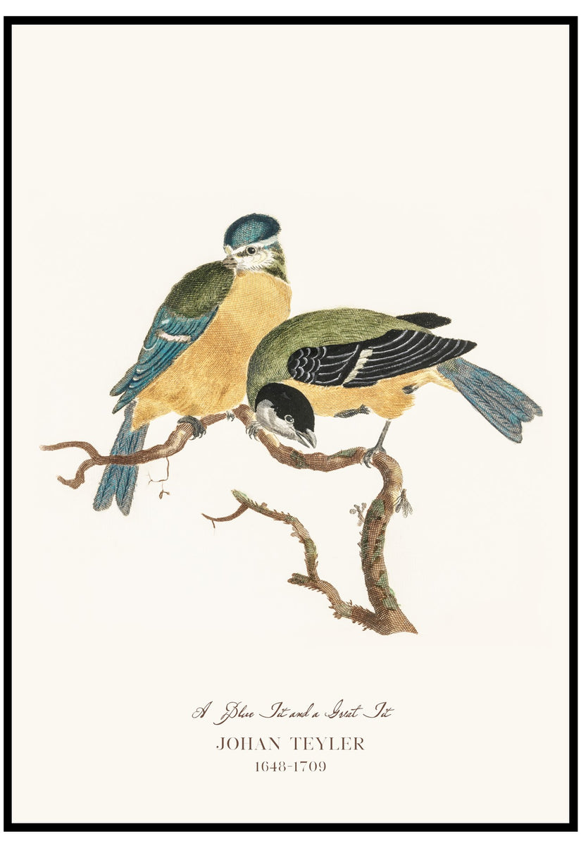 Vintage Birds Poster | Stylish & Classic Wall Art – Slay My Print