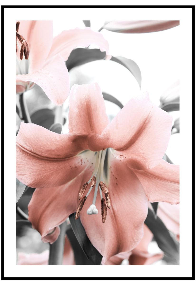 Garden Lily Poster | Botanical Flowers Wall Art – Slay My Print