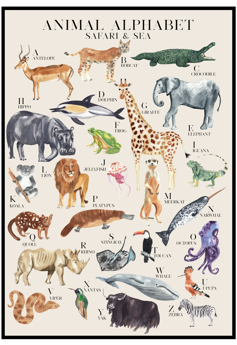 Safari & Sea Animals Poster │ Educational Wall Art For Kids – Slay My Print